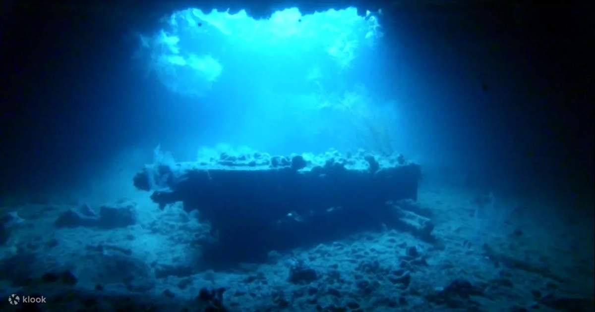 探索水下奇觀:與我們的 Padi 五星級潛水度假村一起在巴拉望島進行半日潛水之旅 Klook 客路